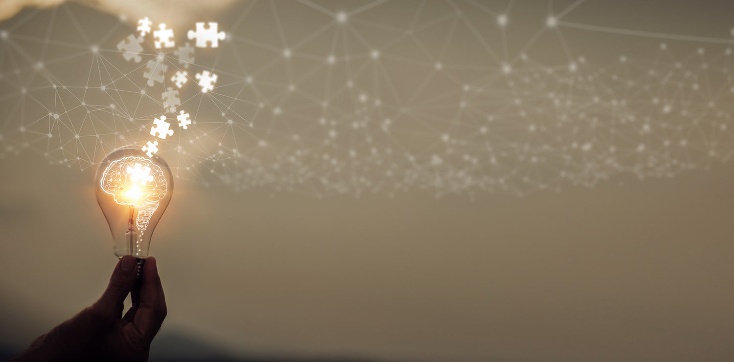 Best Dog Trainer in Broomfield, CO - Rocky Mountain Dog Training